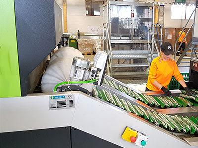 Andelslaget Närpes Grönsaker QSort (Finlandia) - ES GREEFA