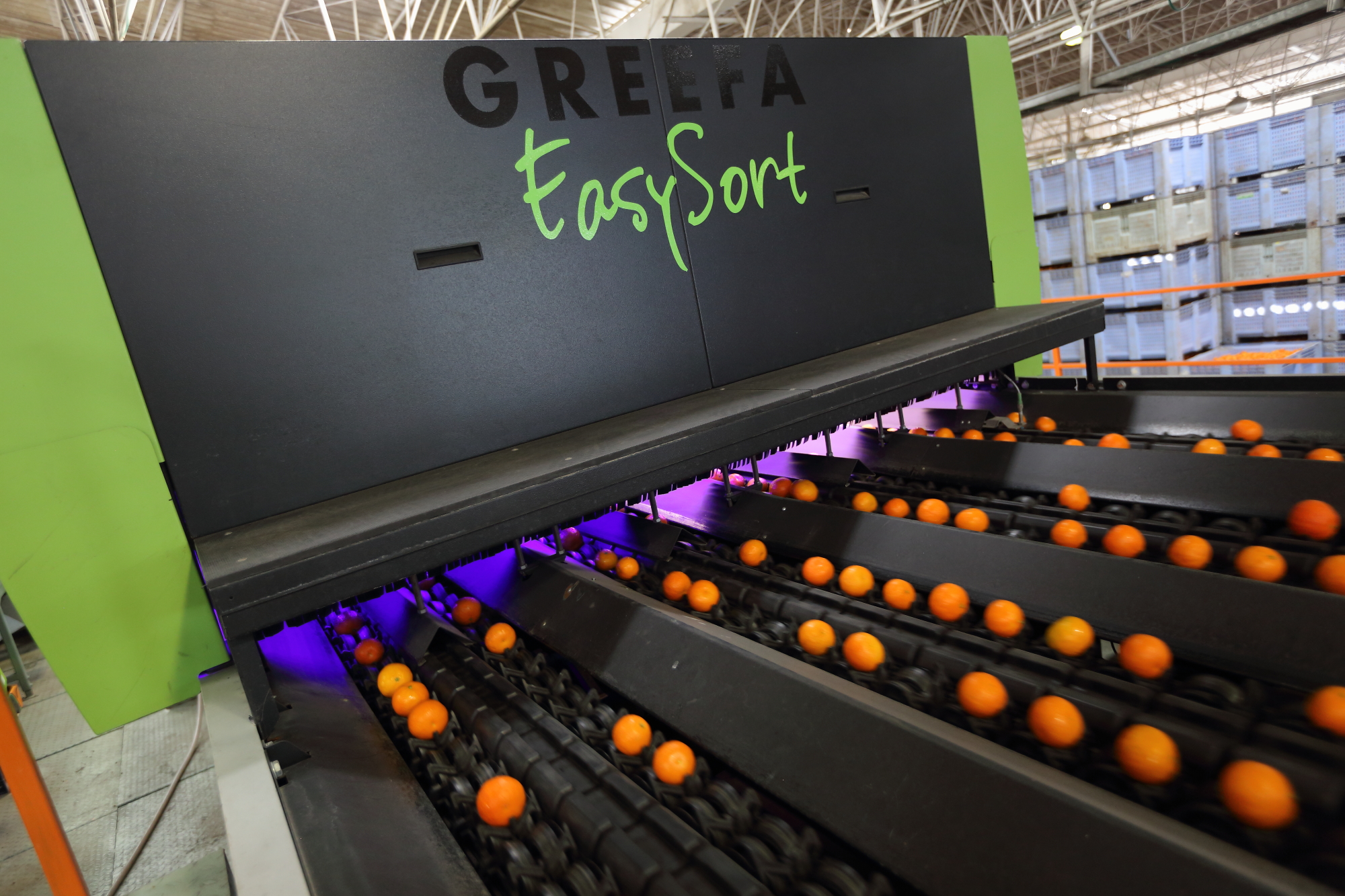 Mehadrin Tnuport Export (Israel) - ES GREEFA