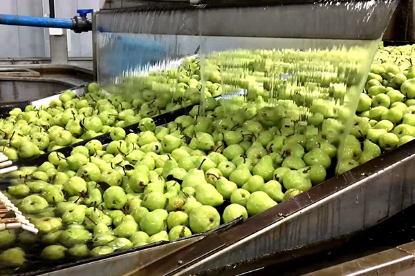 Two A Day Group (Sudáfrica) - ES GREEFA