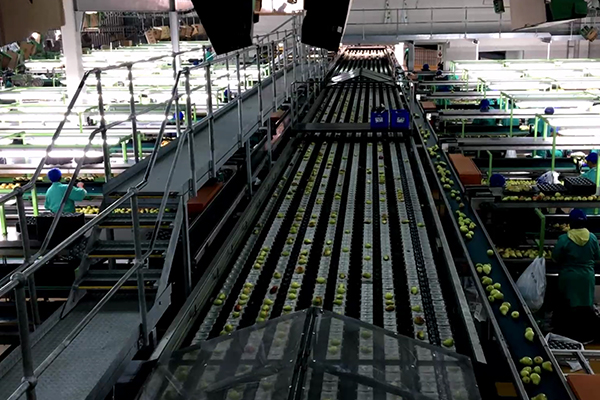 Two A Day Group (Sudáfrica) - ES GREEFA