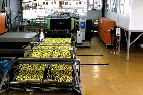 Two A Day Group (Zuid-Afrika) - NL GREEFA