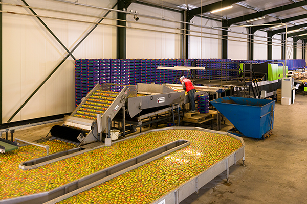 Kwekerij Zuiderzee (Nederland) - NL GREEFA