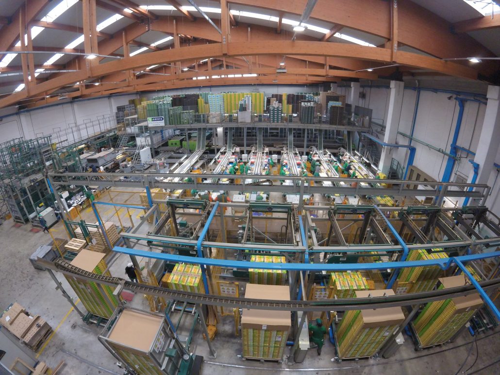 Spreafico (Italy) - EN GREEFA