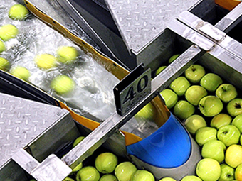 Filling systems - EN GREEFA